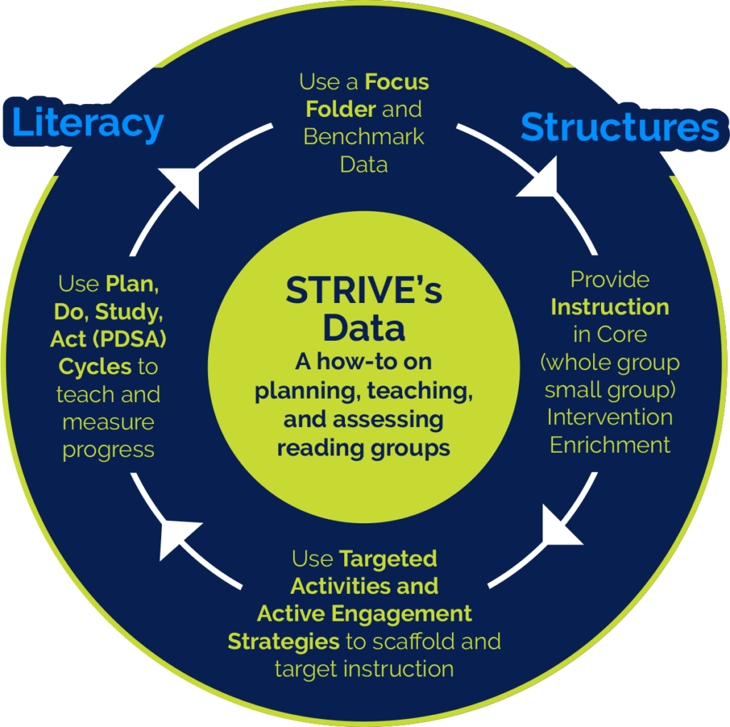 STRIVE's Data System - STRIVE TLC